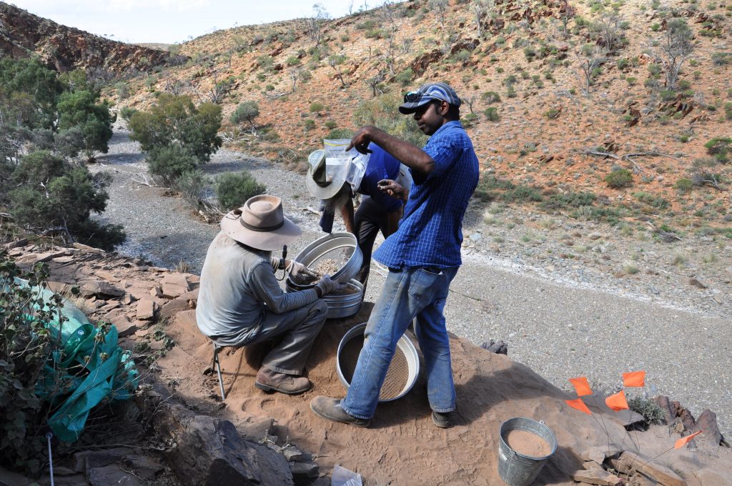 Warratyi Excavations – Warratyi